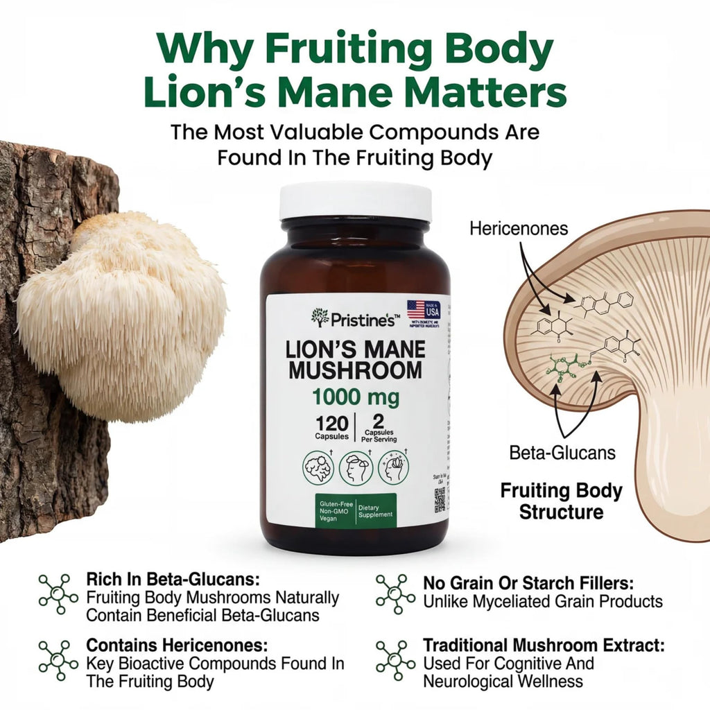 Natural herbal mushrooms for enhanced focus