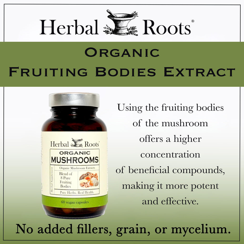 natural herbal mushrooms for vitality