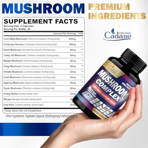 Natural herbal mushrooms for wellness