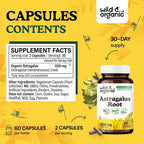 natural herbal remedy astragalus benefits