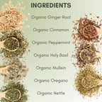 natural herbal remedy for congestion