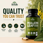 Natural herbal remedy for cough relief