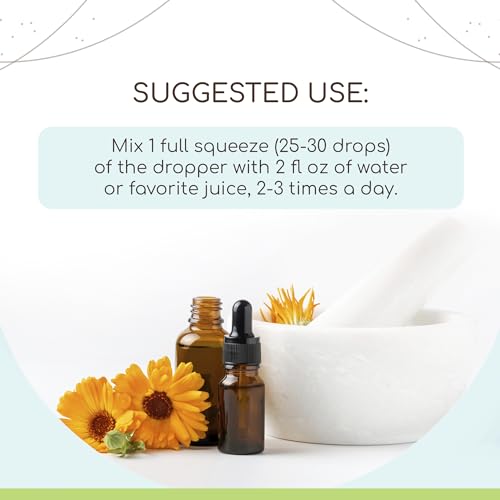 natural herbal remedy for digestion