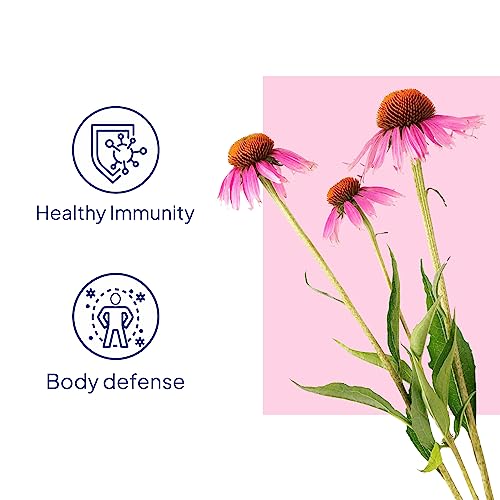 natural herbal remedy for immunity
