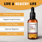 Natural herbal remedy for nausea