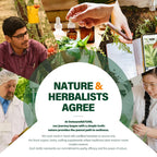 Natural herbal remedy for vitality