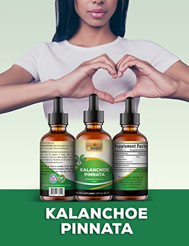 natural herbal remedy for wellness
