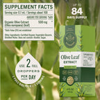 natural herbal remedy for wellness