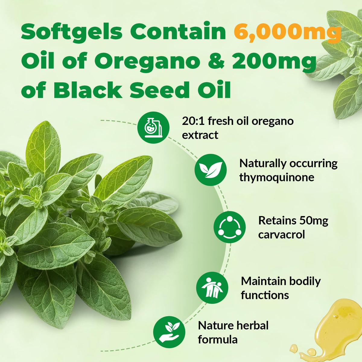 Natural herbal remedy for wellness