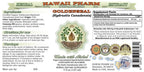 Natural herbal remedy Goldenseal extract