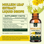 Natural herbal remedy GORNVB Mullein Drops