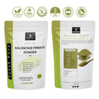 Natural herbal remedy Kalanchoe powder