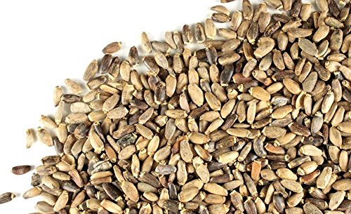natural herbal remedy milk thistle
