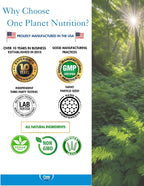Natural herbal remedy Moringa capsules