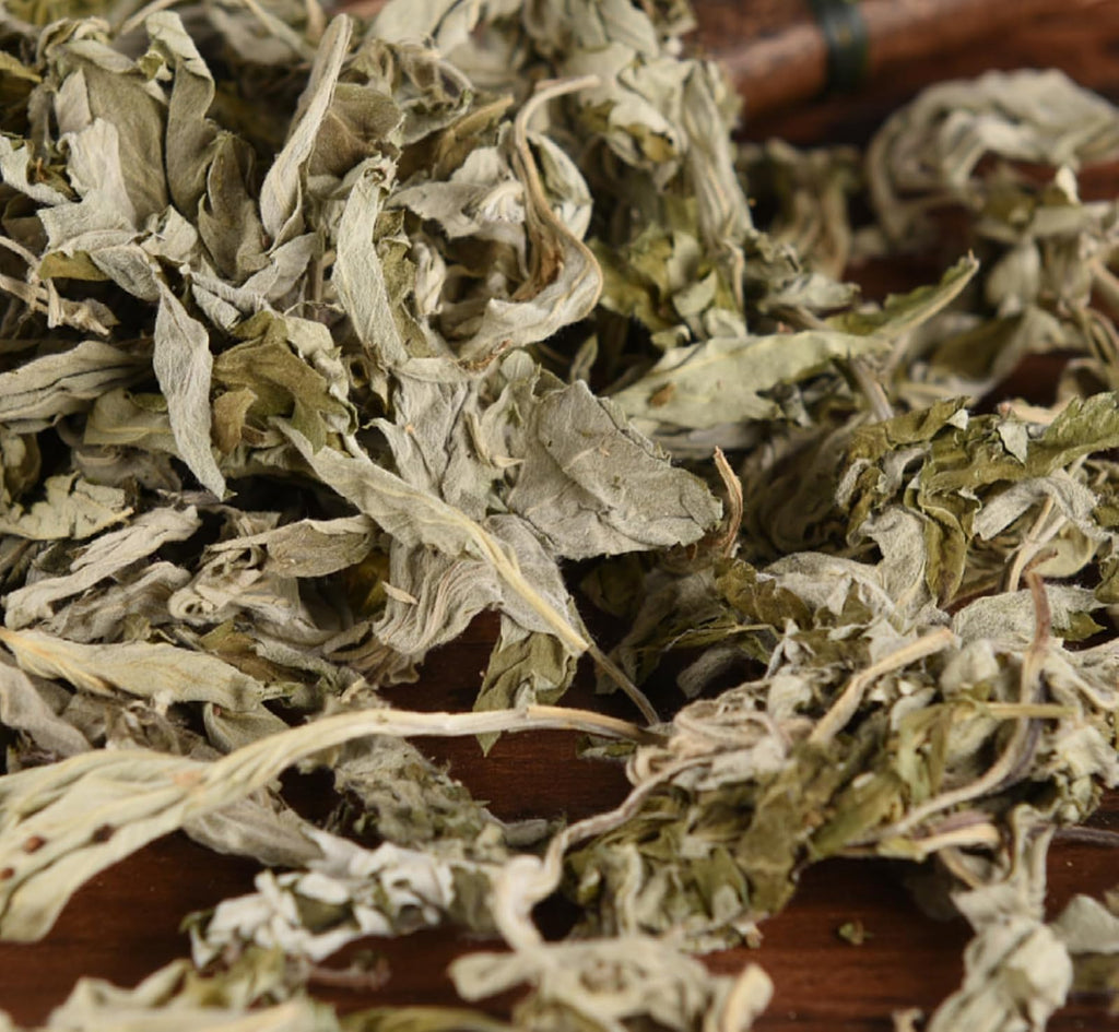 natural herbal remedy mugwort tea