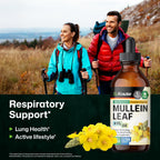 Natural herbal remedy Mullein extract