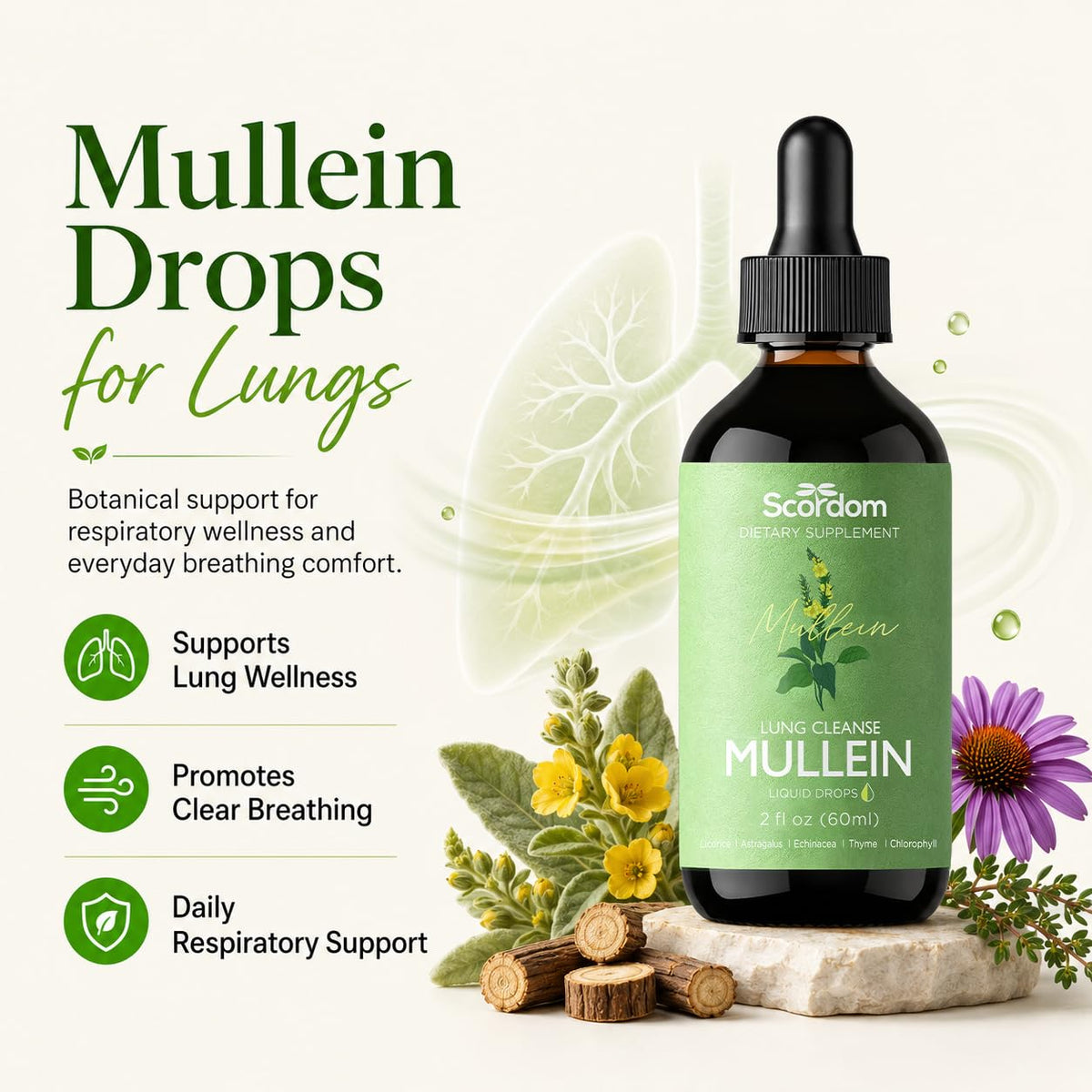Natural herbal remedy Mullein tincture