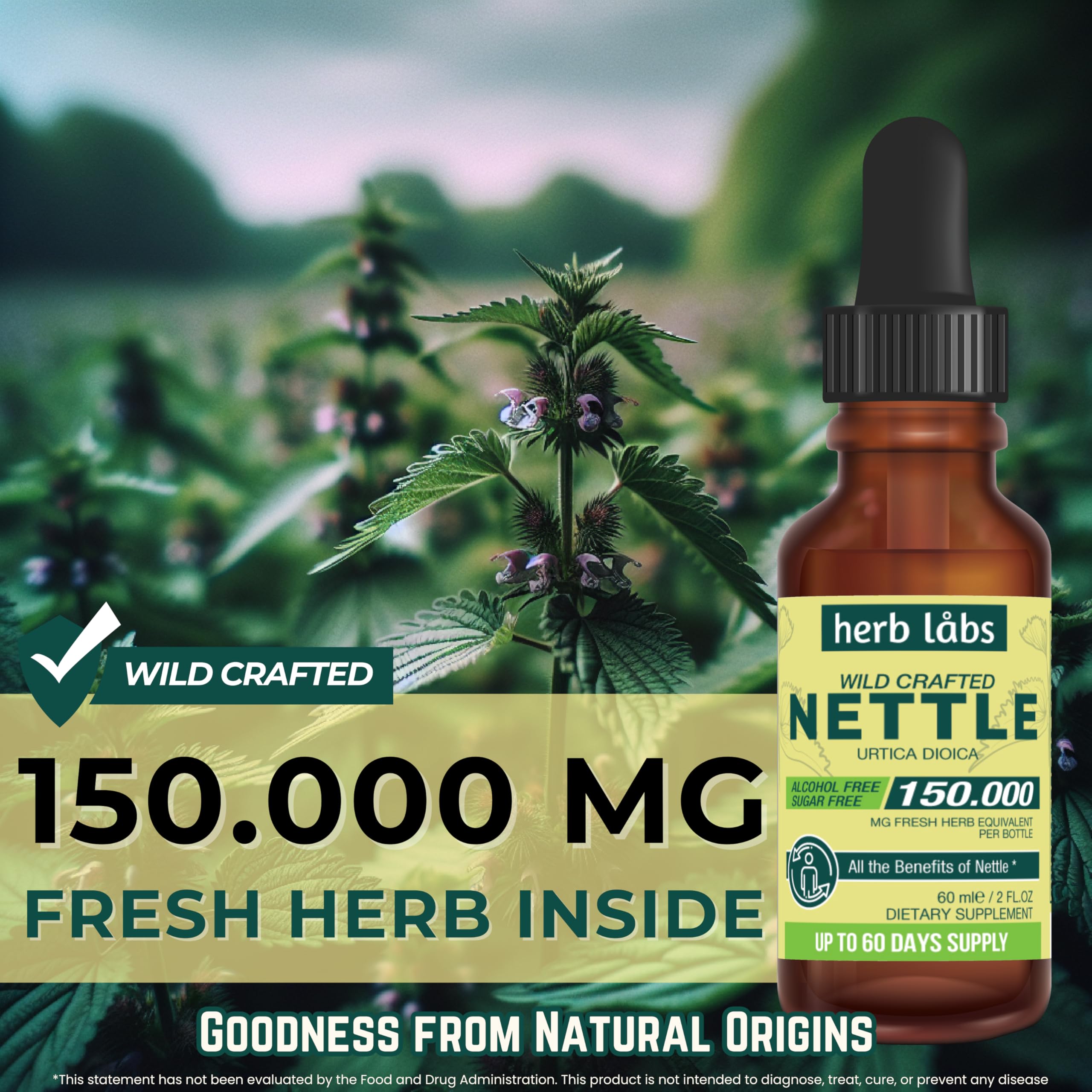 natural herbal remedy nettle extract
