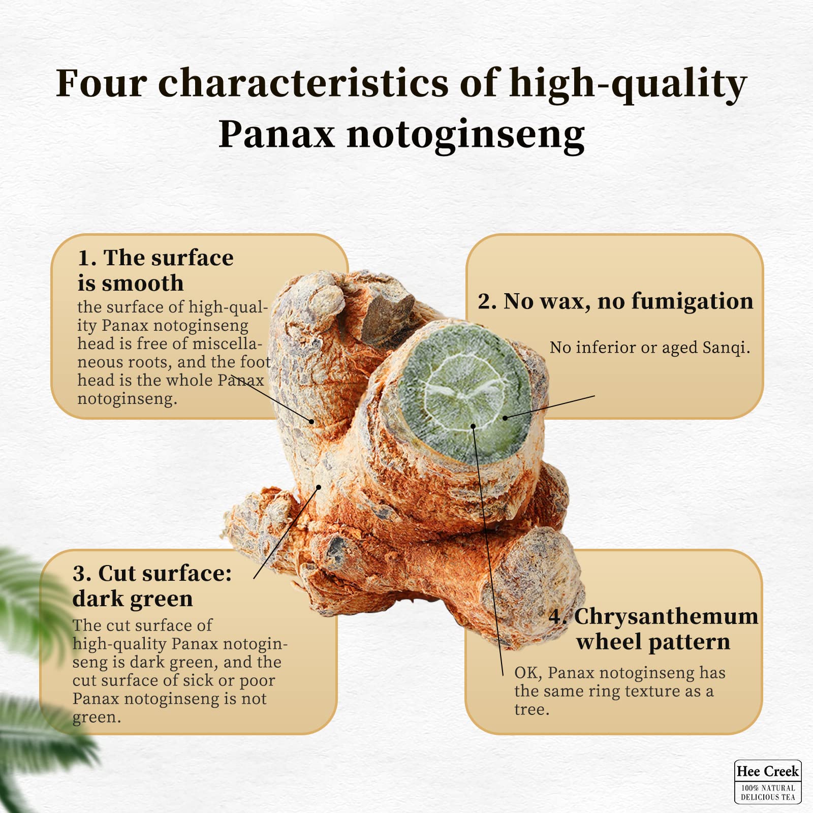 Natural herbal remedy Notoginseng