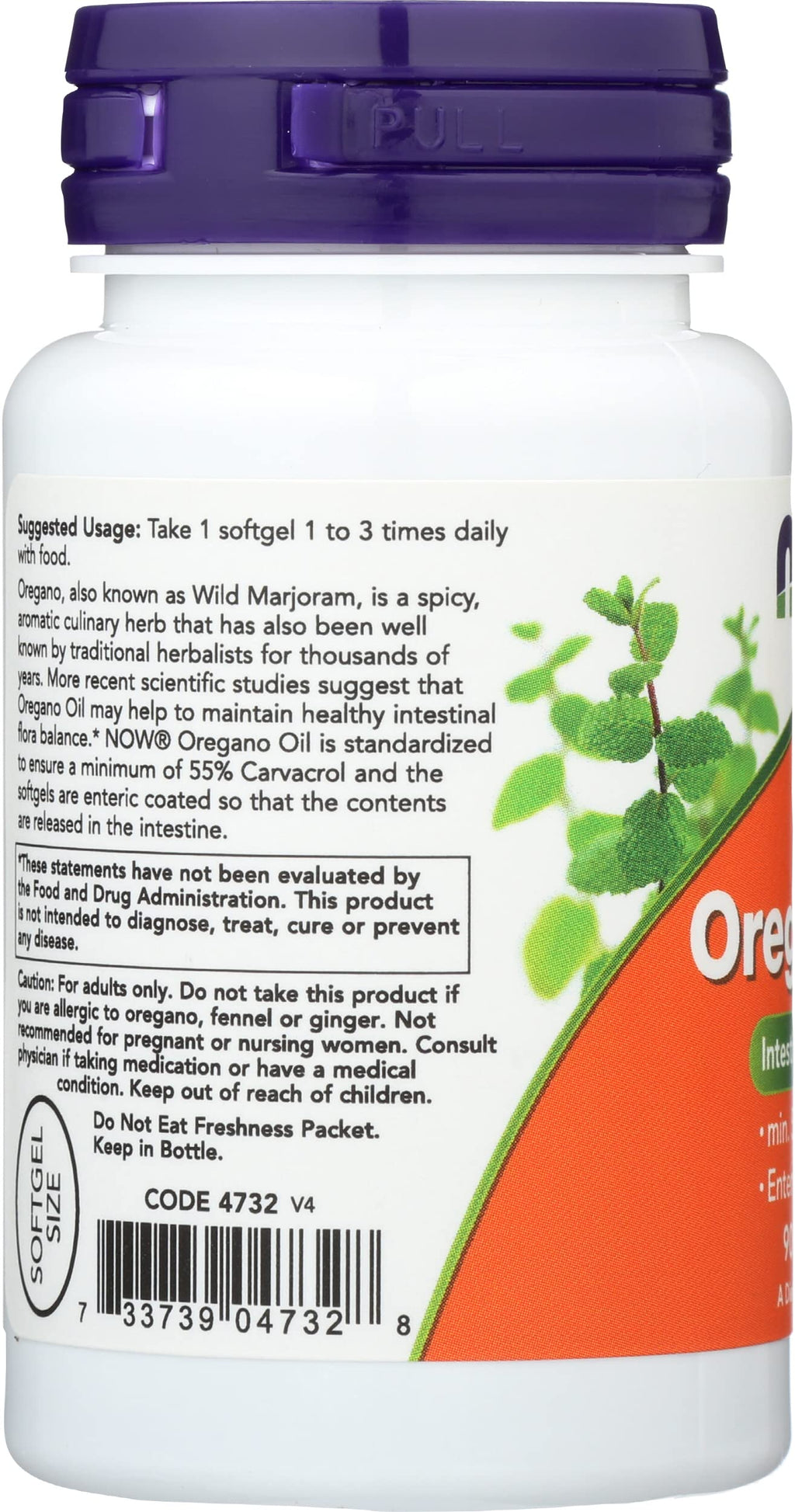 natural herbal remedy oregano