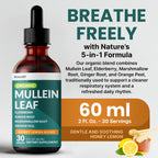 Natural herbal remedy PrimeMD Mullein