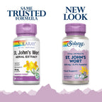 Natural herbal remedy St John's Wort extract