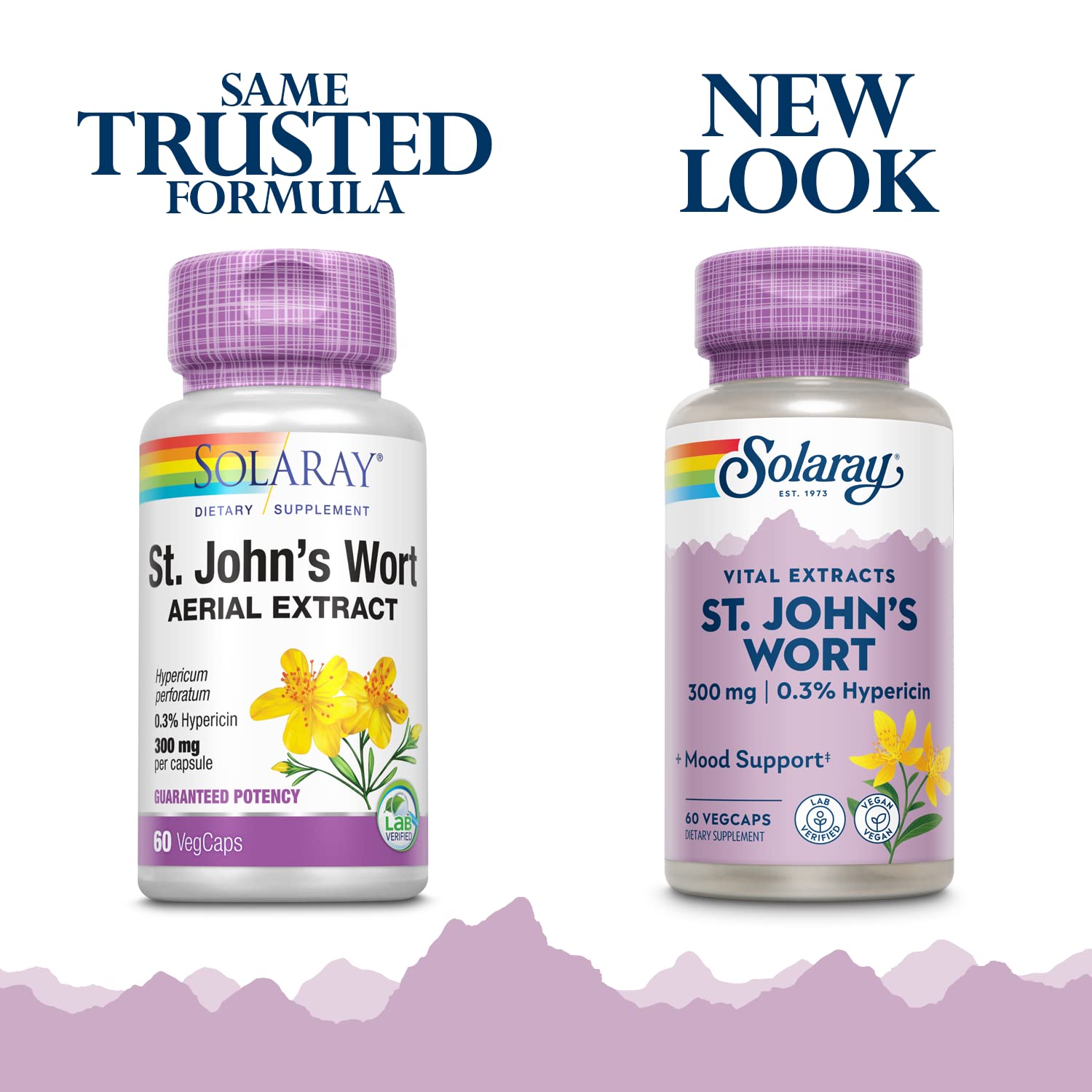 Natural herbal remedy St John's Wort extract