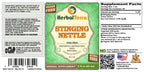 Natural herbal remedy stinging nettle
