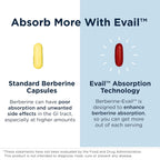 natural herbal remedy with berberine