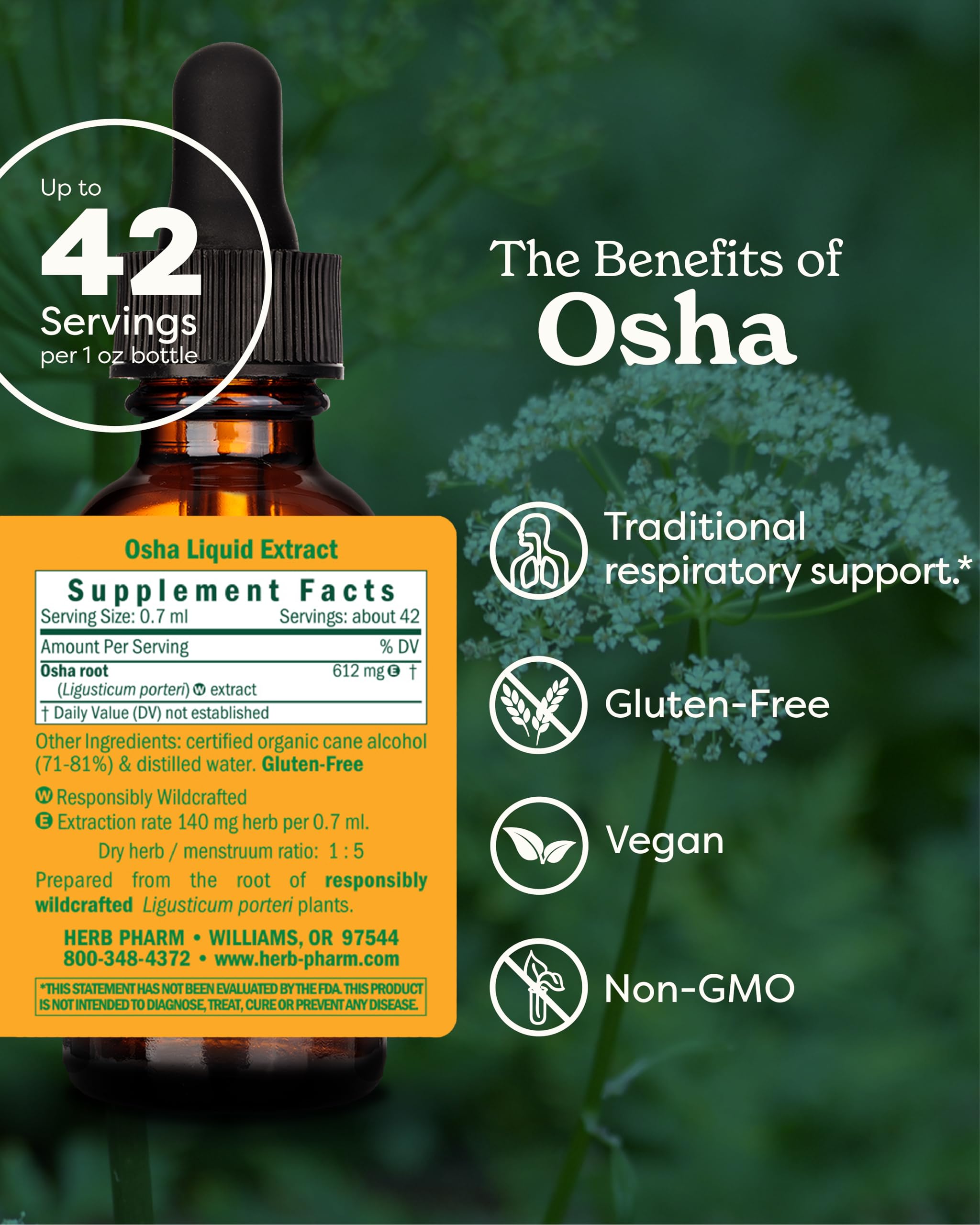 Natural herbal remedy with echinacea