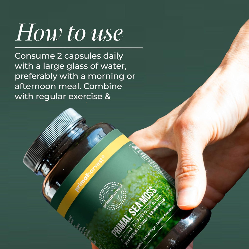 Natural herbal sea moss capsules