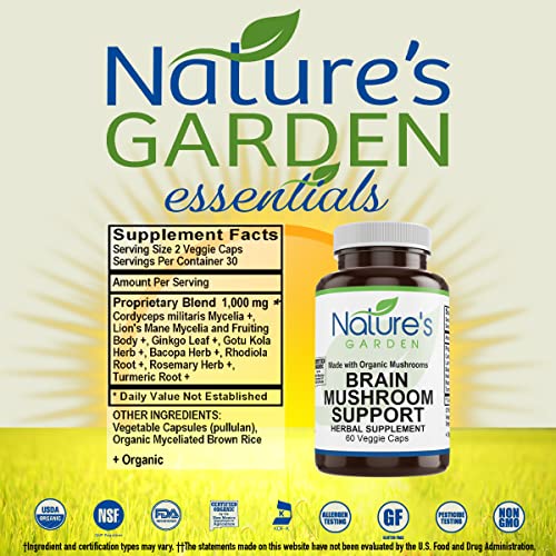 natural herbal supplement for focus