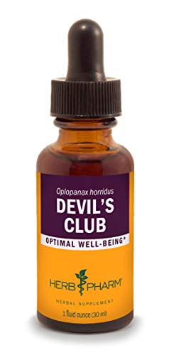 natural herbal supplement for immunity