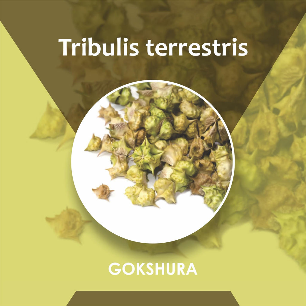 natural herbal supplement for vitality