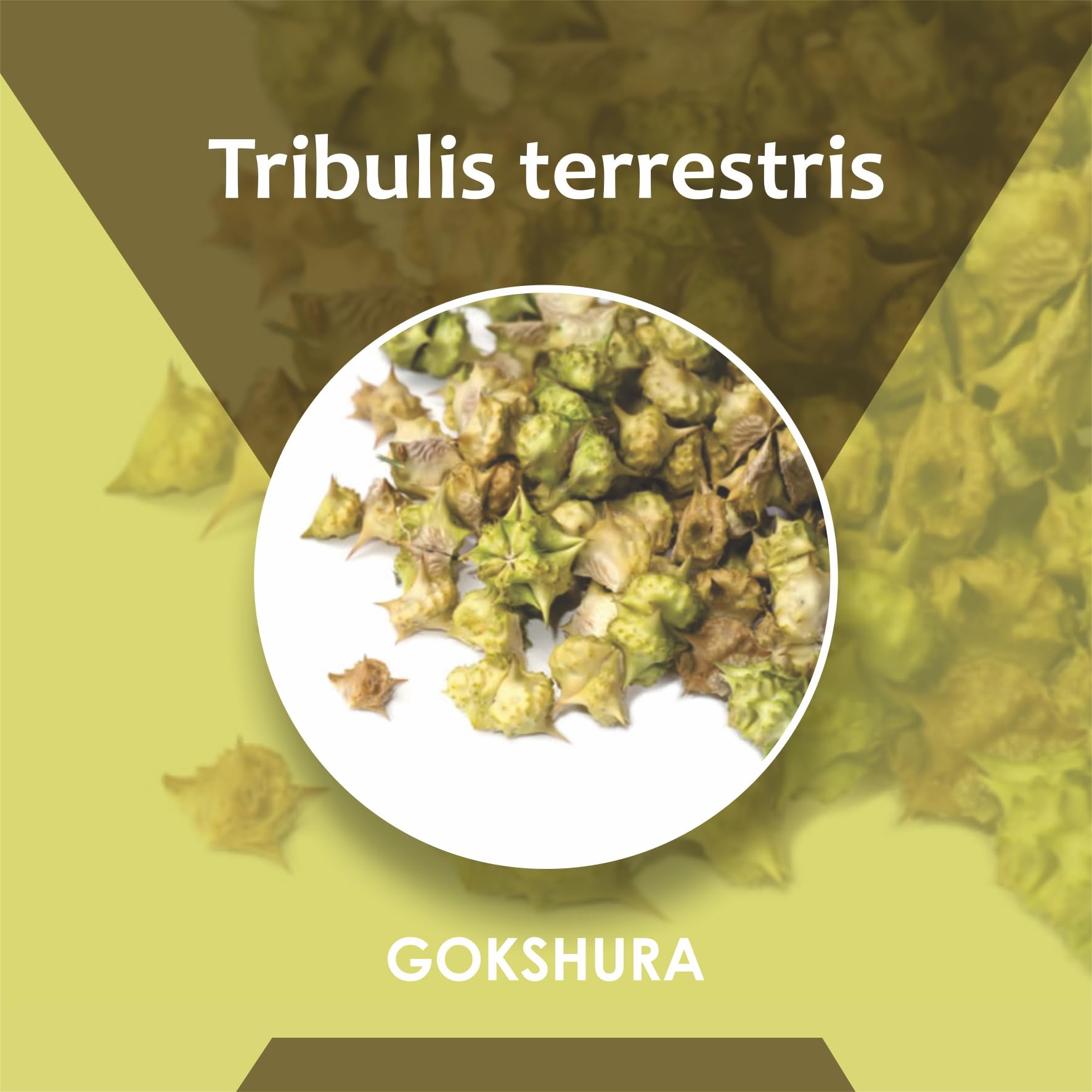 natural herbal supplement for vitality