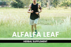 natural herbal supplement for wellness