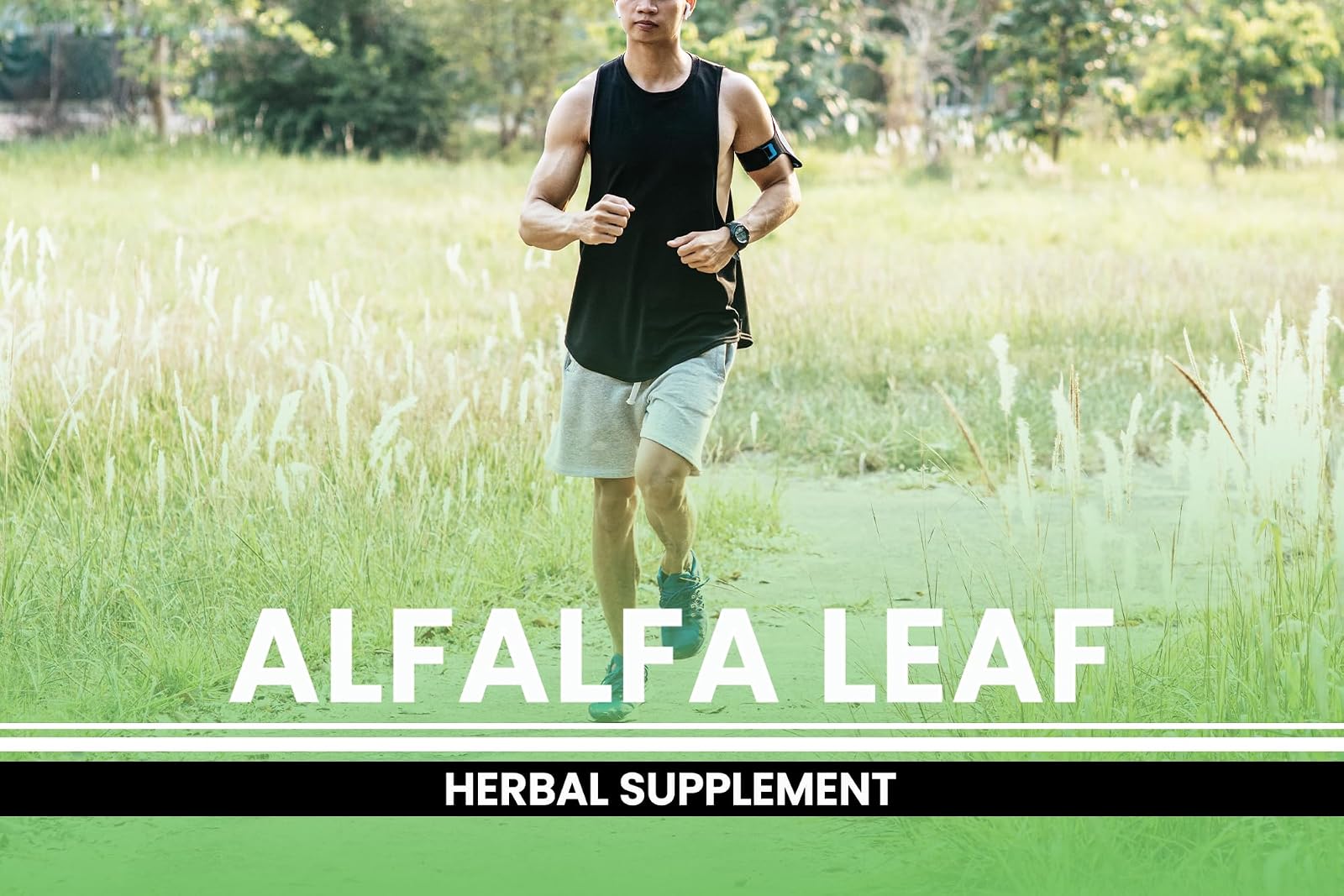 natural herbal supplement for wellness