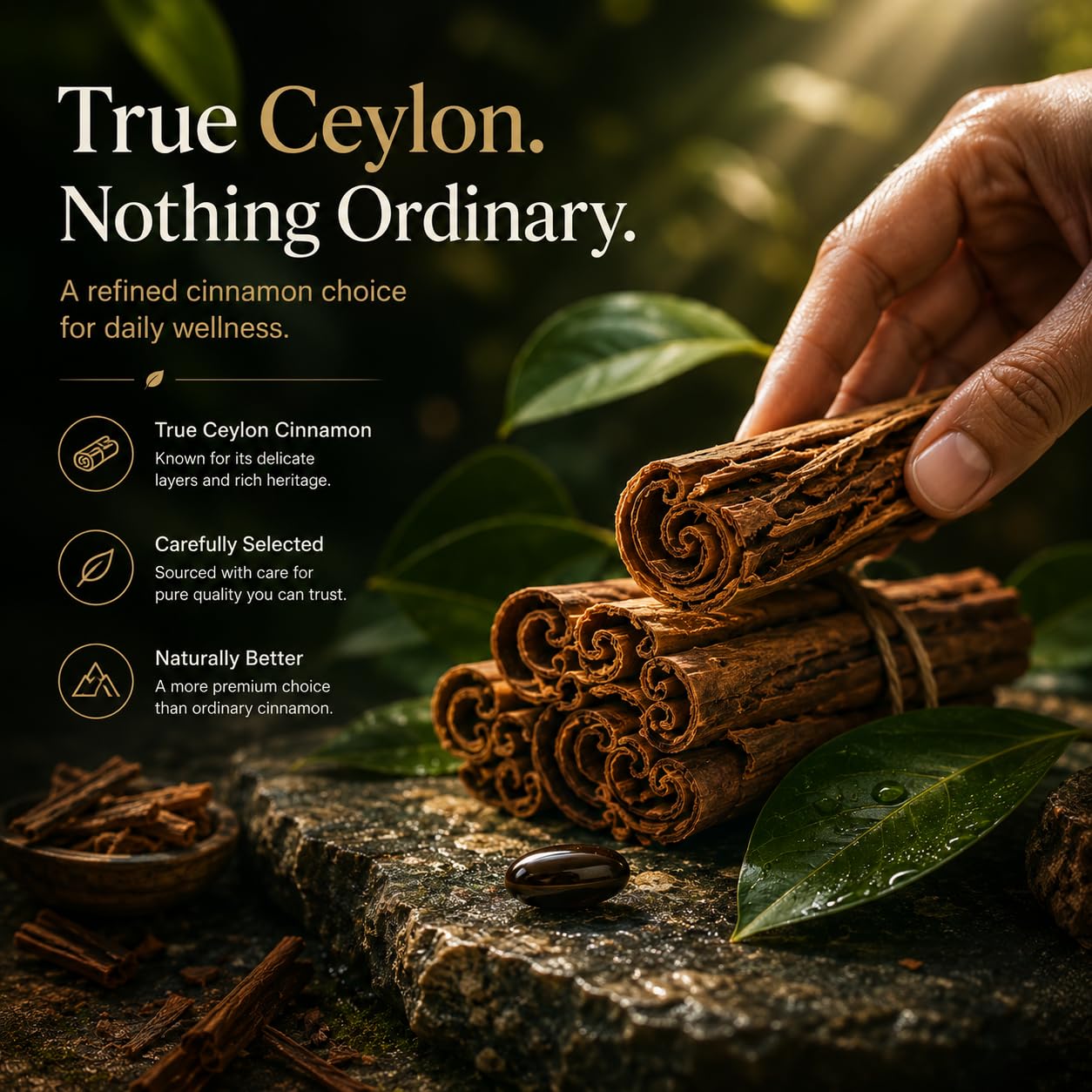 natural herbal supplement for wellness