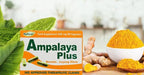 natural herbal supplement for wellness