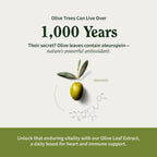 Natural herbal supplement for wellness