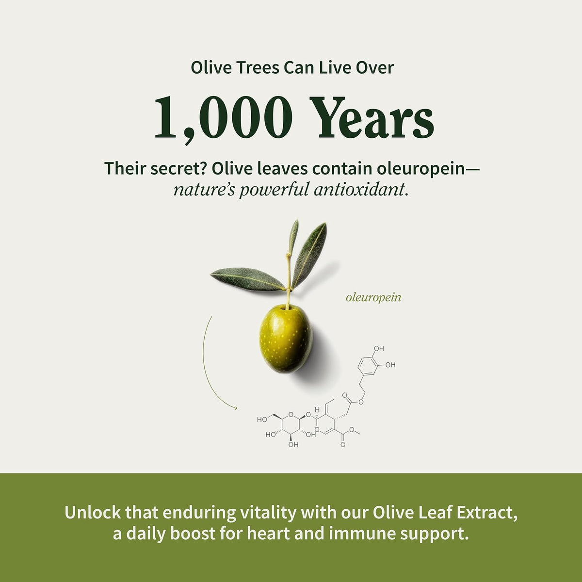 Natural herbal supplement for wellness