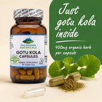 Natural herbal supplement for wellness