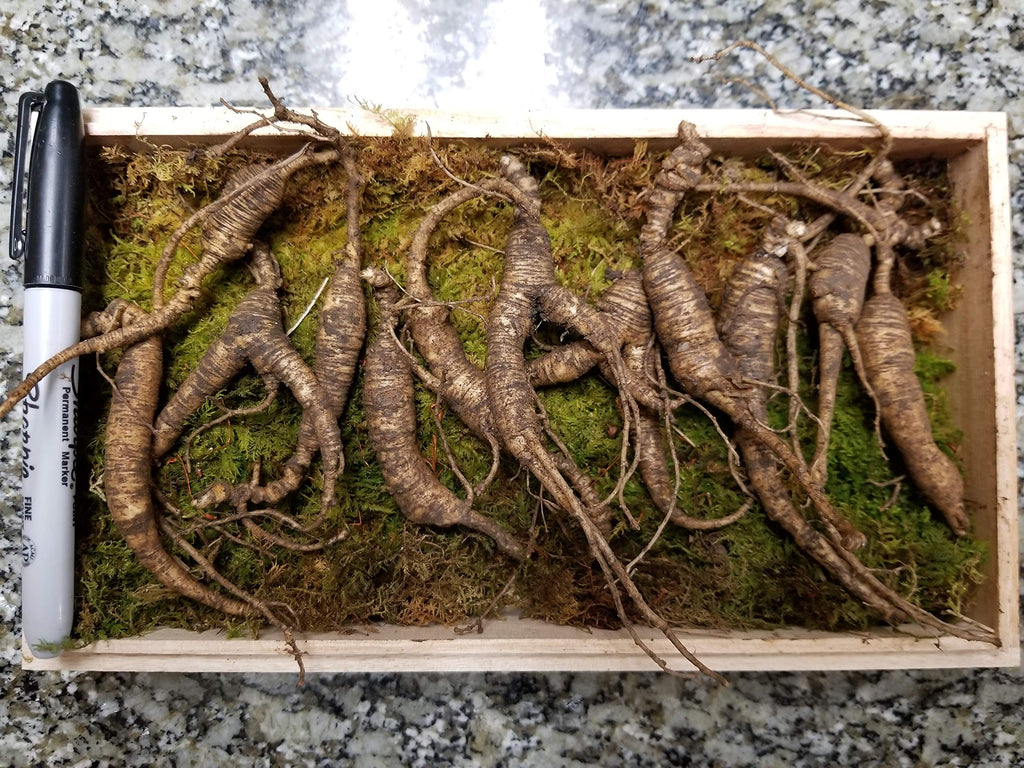 natural herbal supplement for wellness