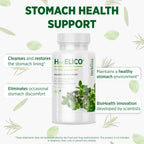 natural herbal supplement for wellness