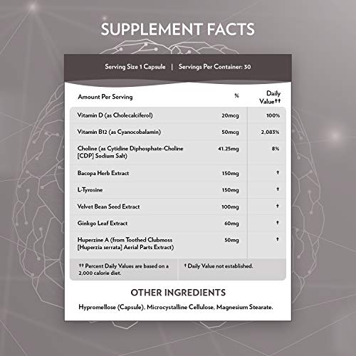 natural herbal supplement ginkgo biloba