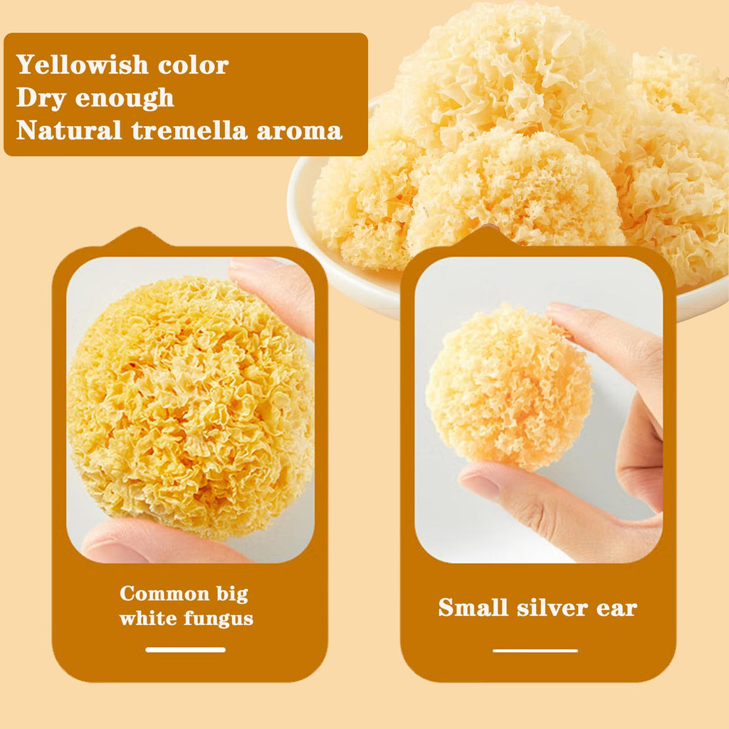 Natural herbal supplement snow fungus