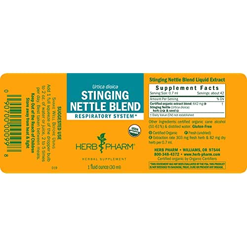 natural herbal supplement stinging nettle