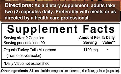 natural herbal supplement turkey tail