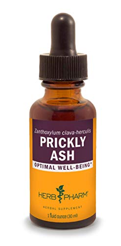 natural herbal supplement with echinacea