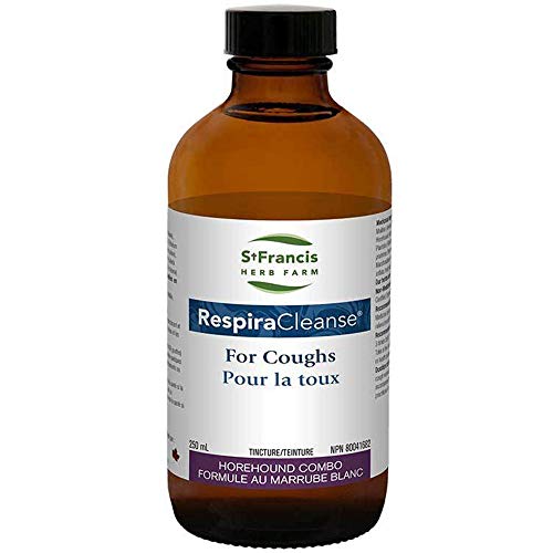 natural herbal supplements for bronchial health